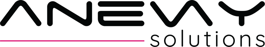 Anevay Solutions - Premier IT Services & Digital Solutions Since 2004